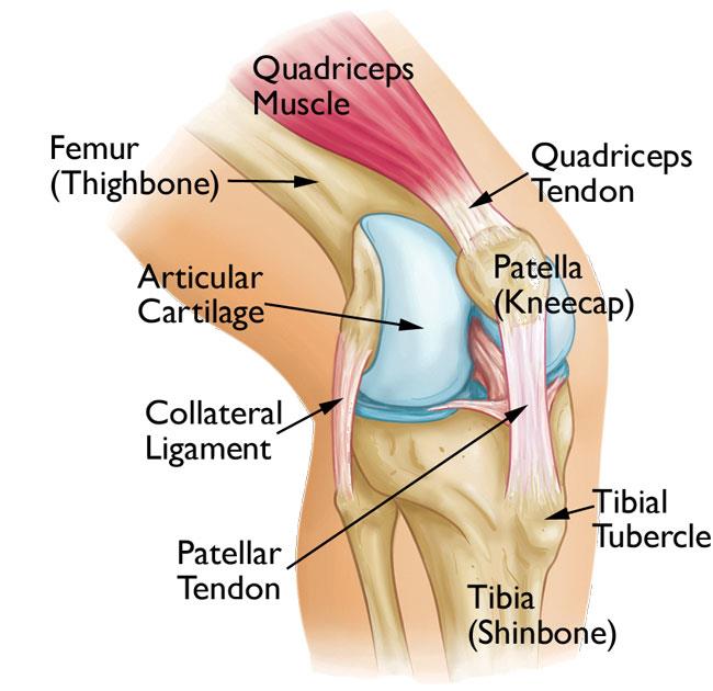 Knee Pain Patellofemoral Robina Physiotherapy Clinic Gold Coast QLD